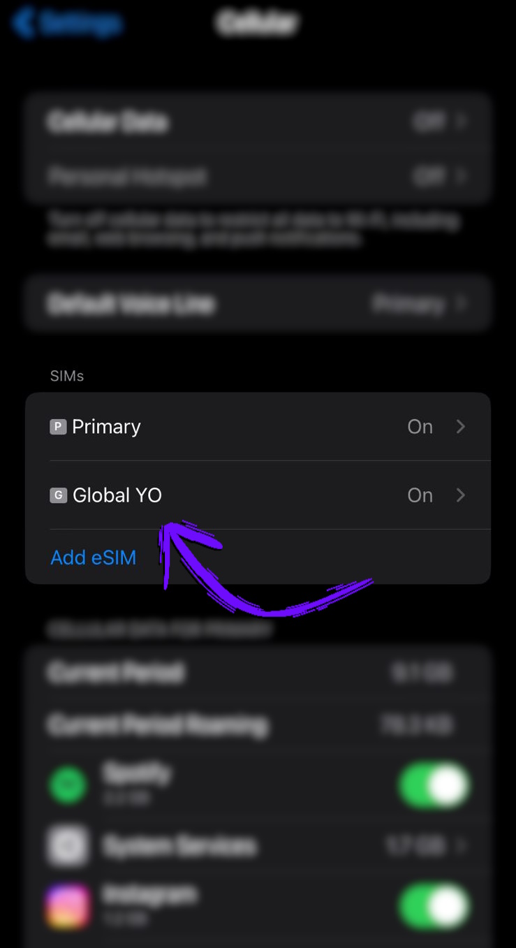 eSIM+ Full Set-up Guide (iOS) – English