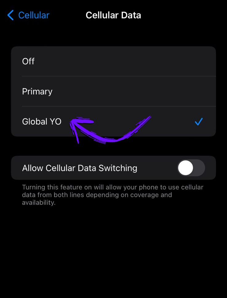 eSIM+ Full Set-up Guide (iOS) – English